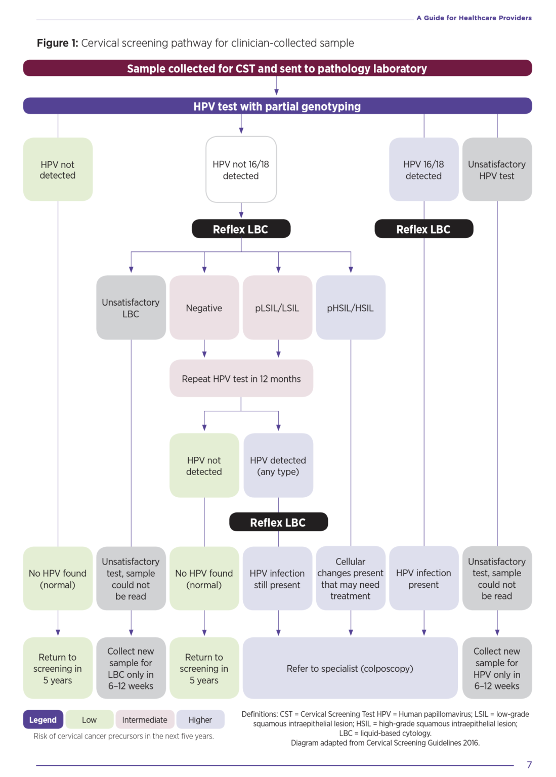 Cervical Cancer Screening - GP Exams